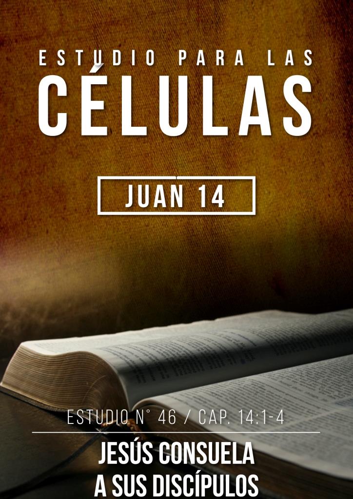 Jesús Consuela a sus Discípulos – PIEB 12