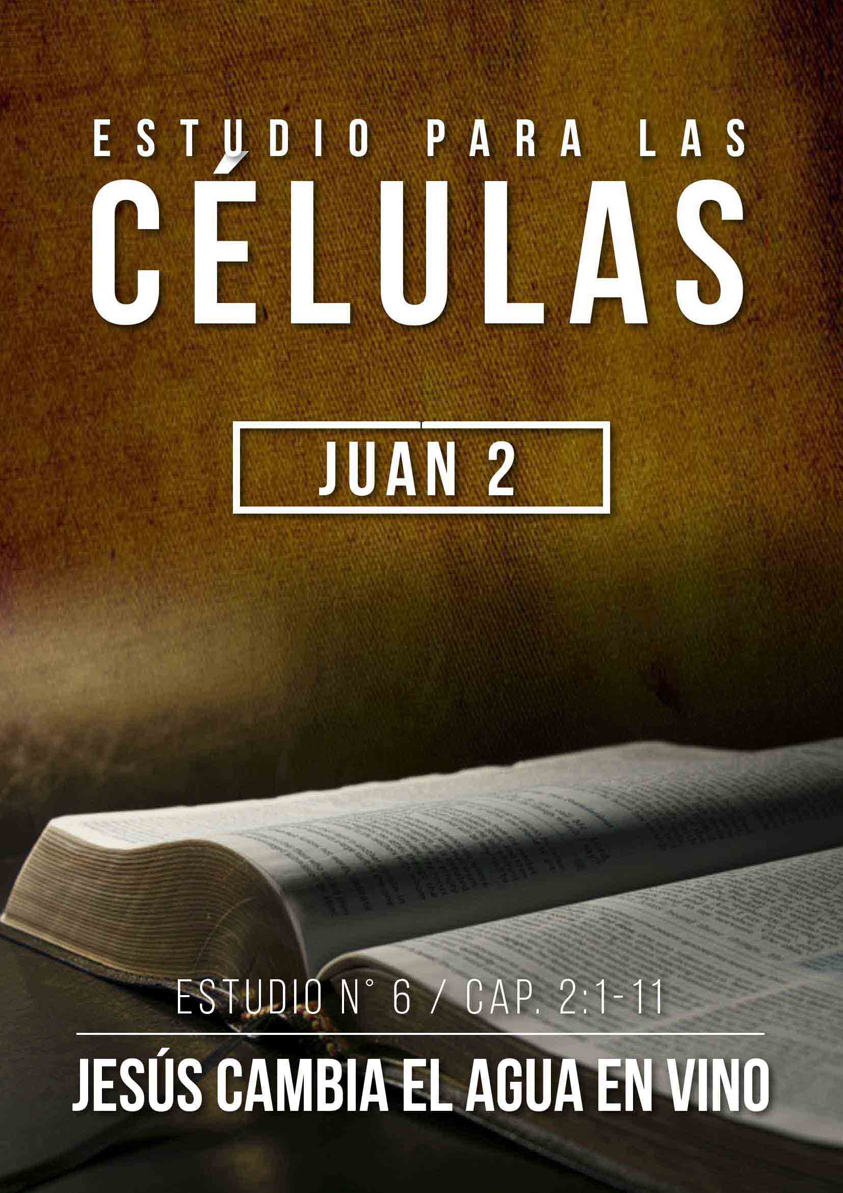 Jesús Cambia El Agua En Vino – PIEB 12